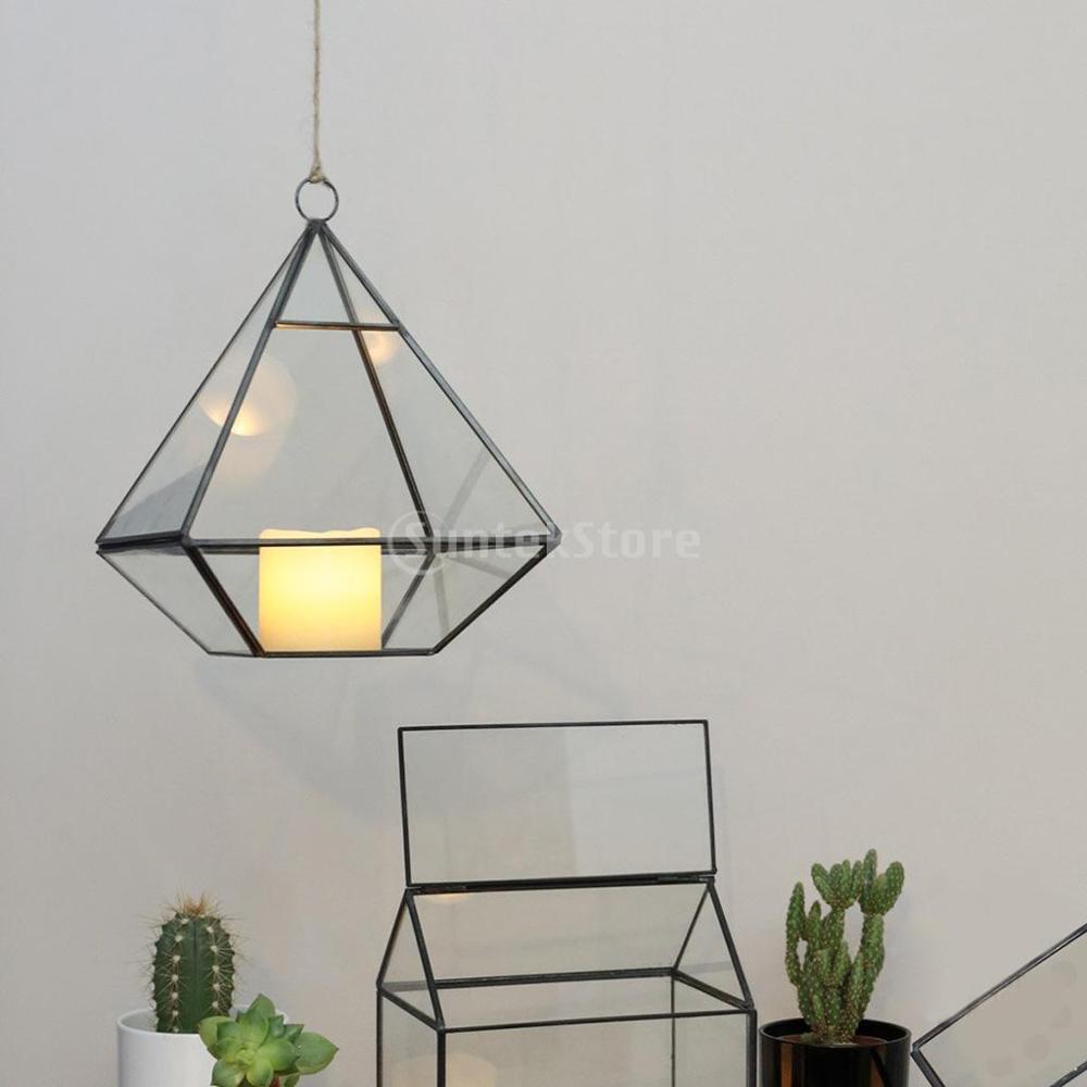 Glass Succulent Terrarium Box Air Plant Fern Moss ... – Grandado