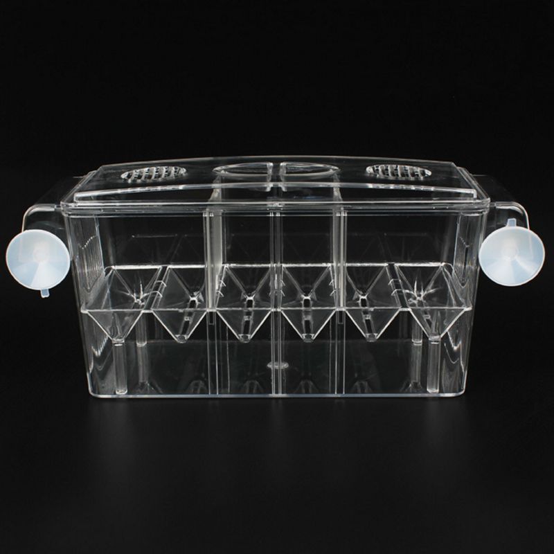 HNGCHOIGE Aquarium Isolation Hatching Box Acrylic ... – Vicedeal