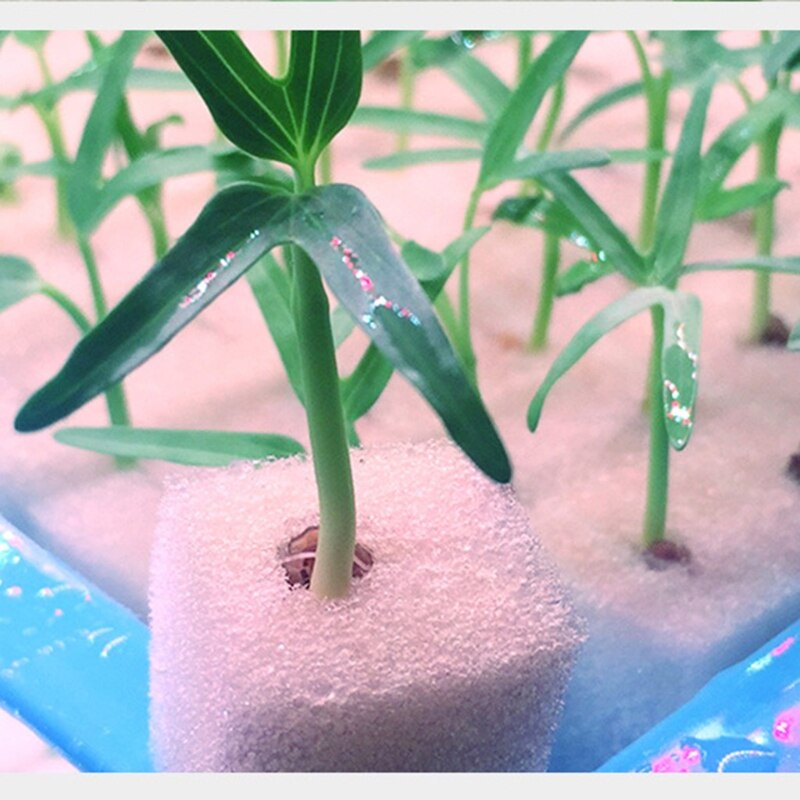 100Pcs Soilless Hydroponic Sponge Seed Growing Med... – Vicedeal