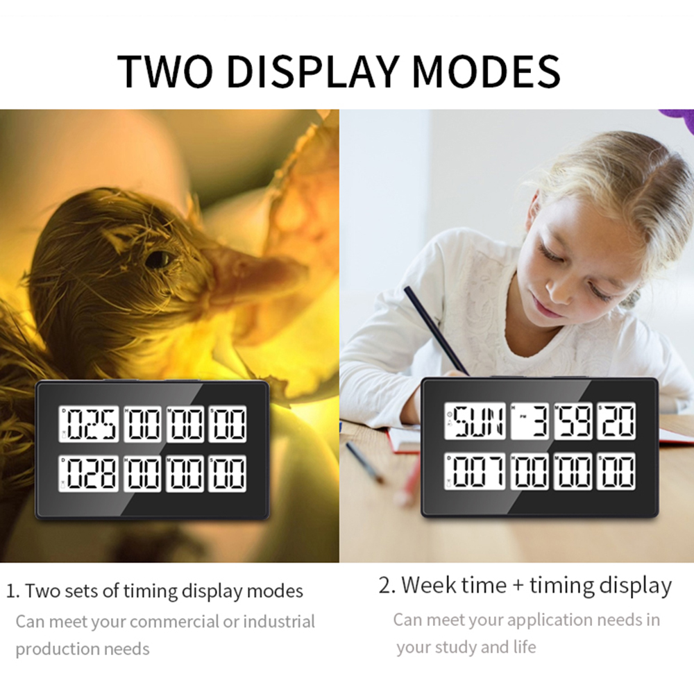 Digital Dual Channel Timer Kitchen Timer Multifunc... – Vicedeal