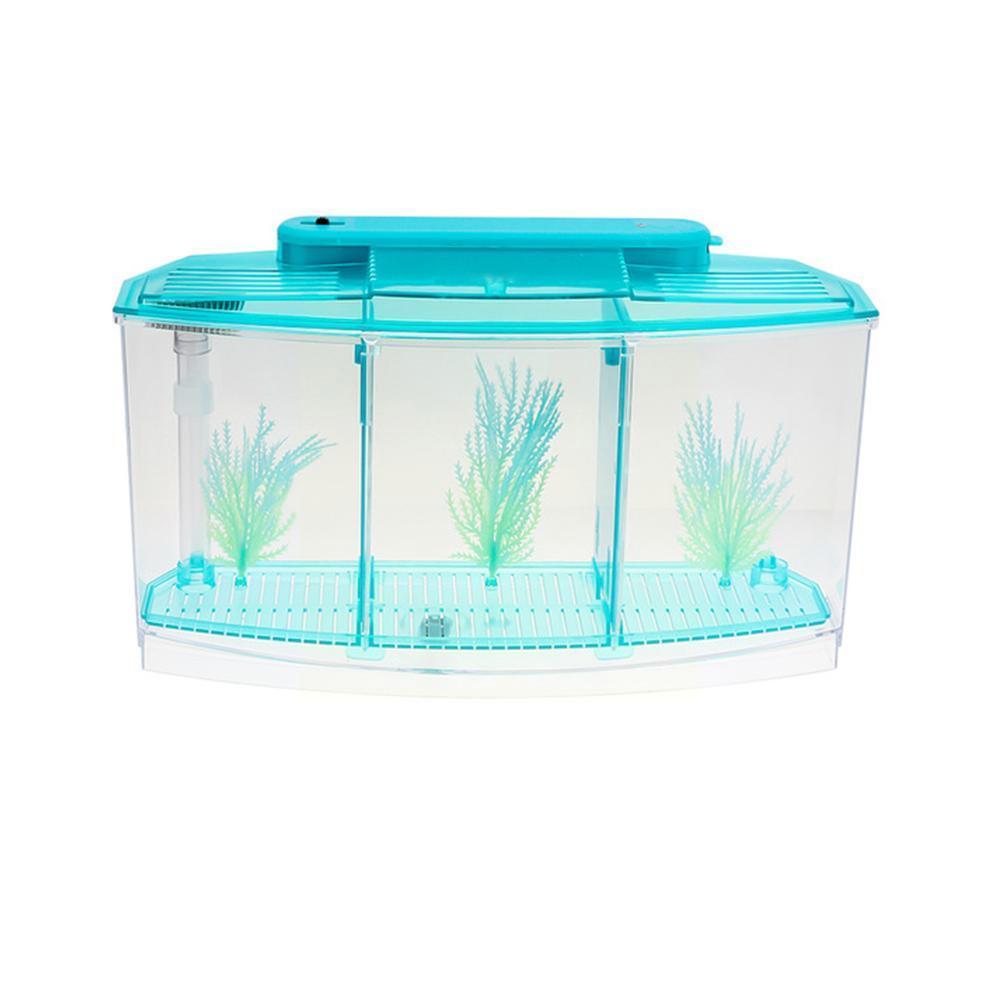 Transparent Acrylic Fighting Fish Triple Cube Sepa... – Grandado