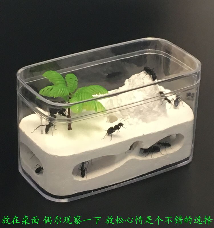 Pet Ant Gypsum Nest Ant Castle Ant Workshop Home R... – Vicedeal