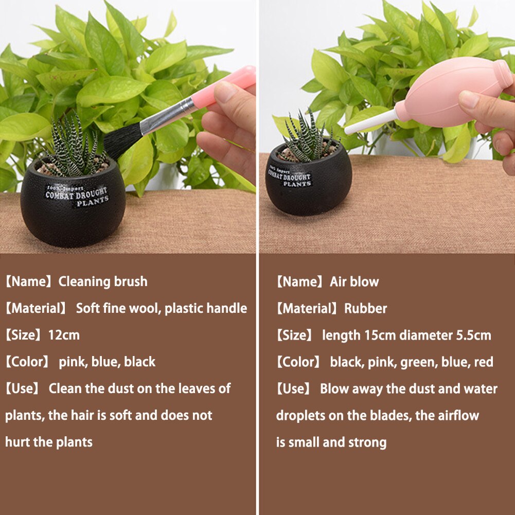 13pcs Garden Planter Kit Garden Planting DIY Tool ... – Grandado