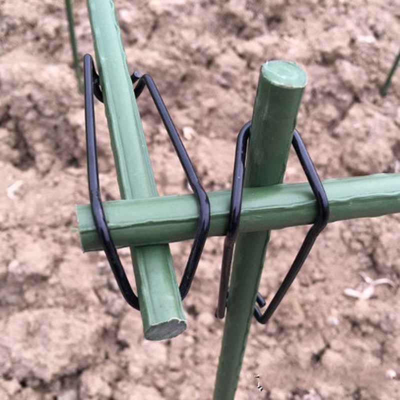 Wire Buckle Horticultural Pillar Fittings Plastic-... – Grandado