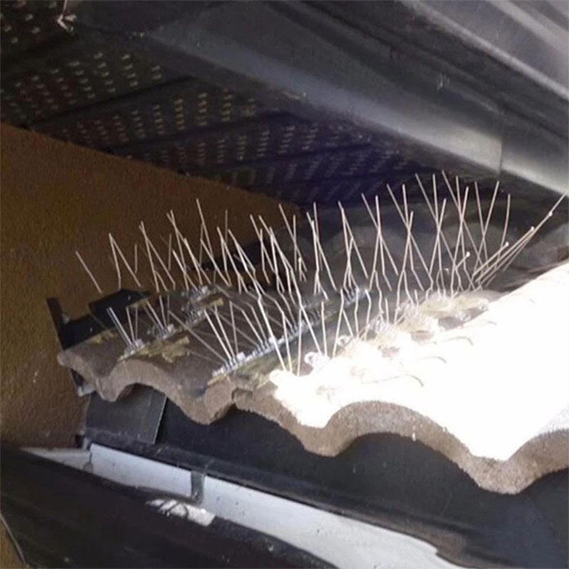 2 Sets Stainless Steel Bird Repellent Spikes Anti ... – Grandado