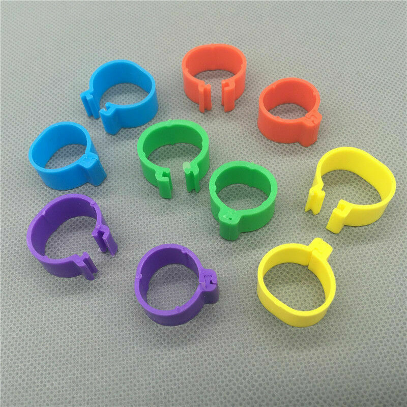 100 pcs/ pack of plastic clip ring pigeon colored ... – Vicedeal