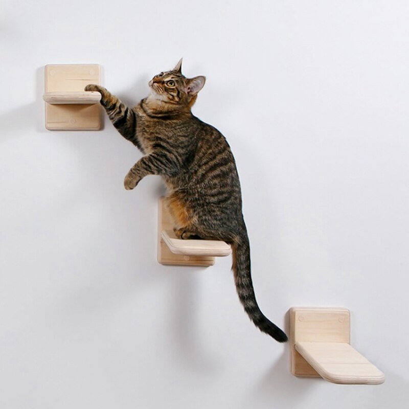 Kitten Springen Ladder Spelen Krassen Platform Wal... – Grandado