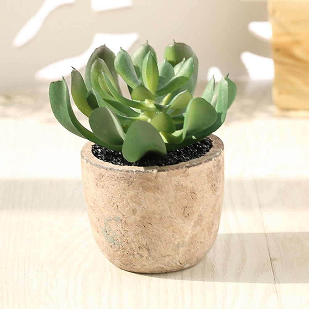 4Pcs/Set Simulation Succulent Plants Artificial Po... – Grandado