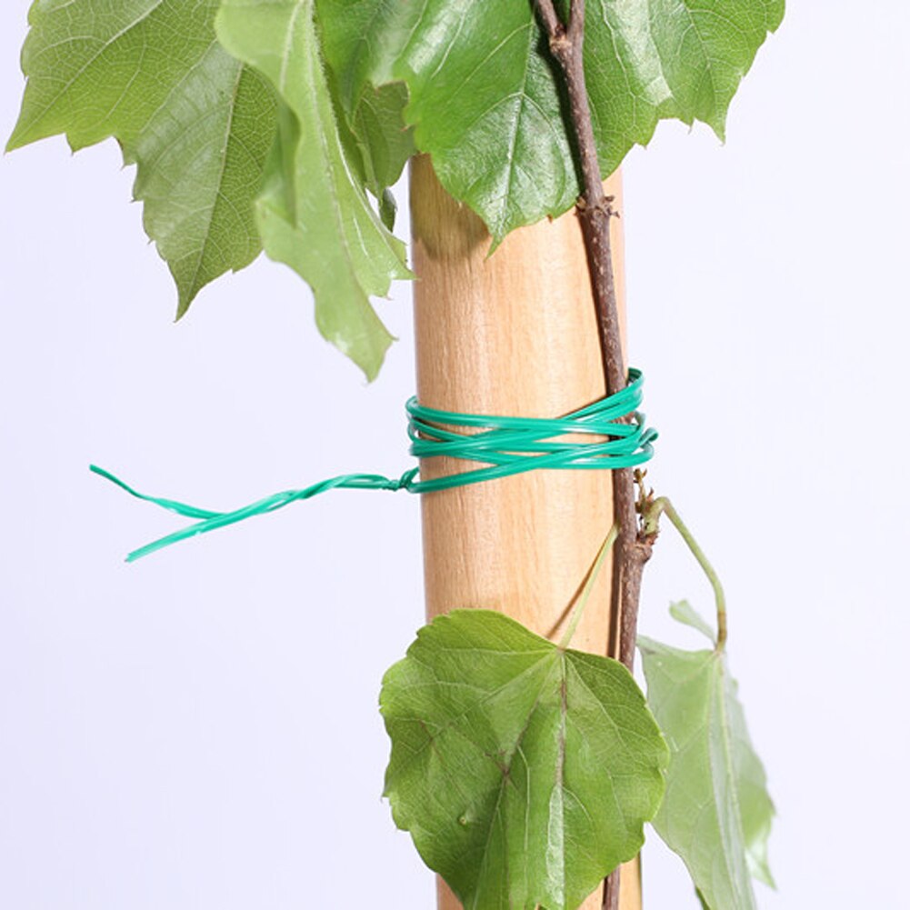 Vegetable Binder Twine Plant Support Type Tomato C... – Grandado