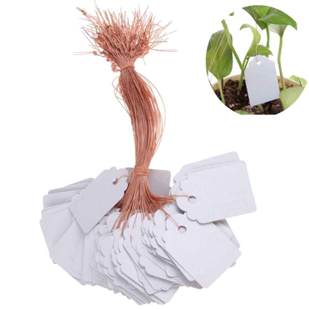 100Pcs pack Grape Labels Melon Fruit Tags Multifun... – Grandado