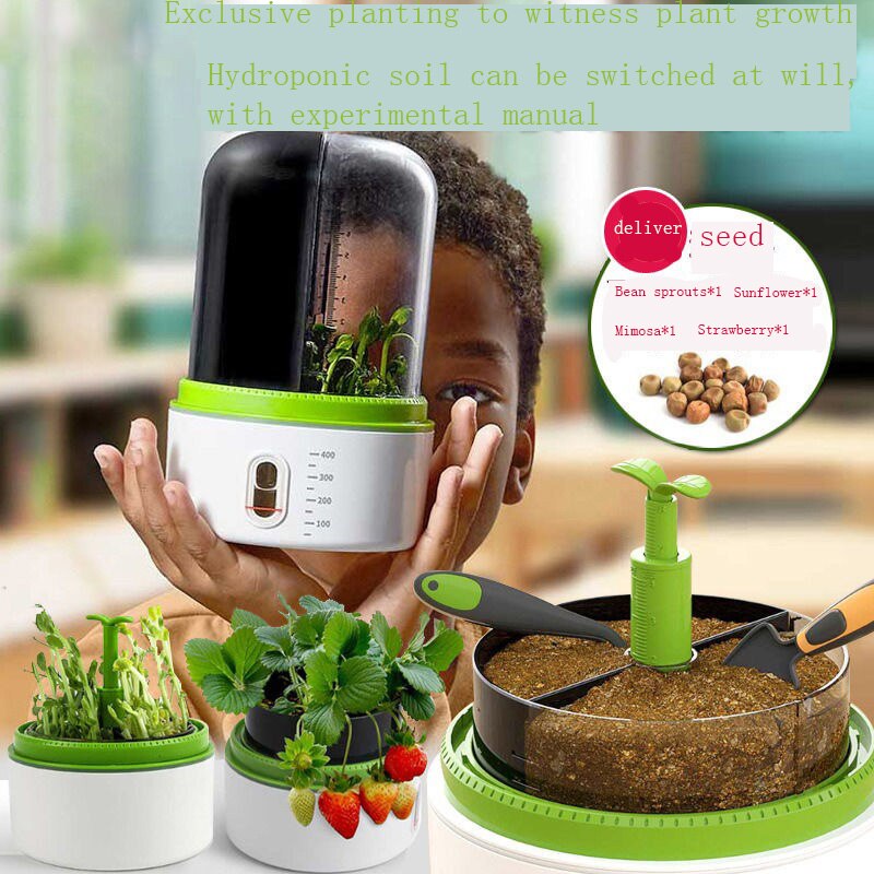 Doll House Children Science Students Small Experim... – Grandado