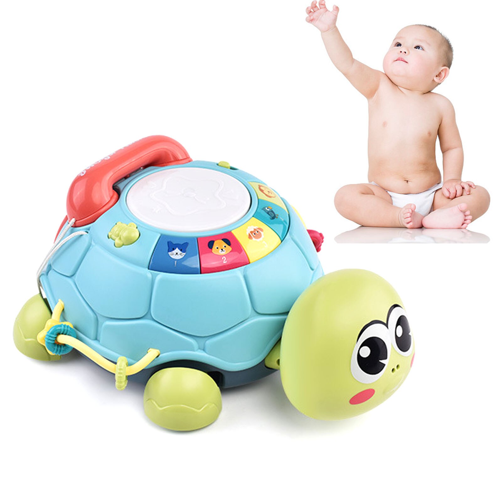 Baby Toys 0-12 Months Musical Turtle Toy Lights So... – Grandado