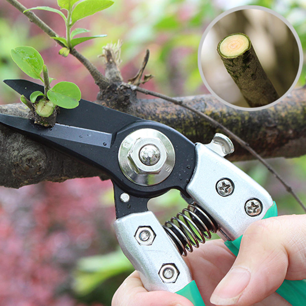 Garden Fruit Tree Pruning Shears Tool With Anti-Ru... – Grandado