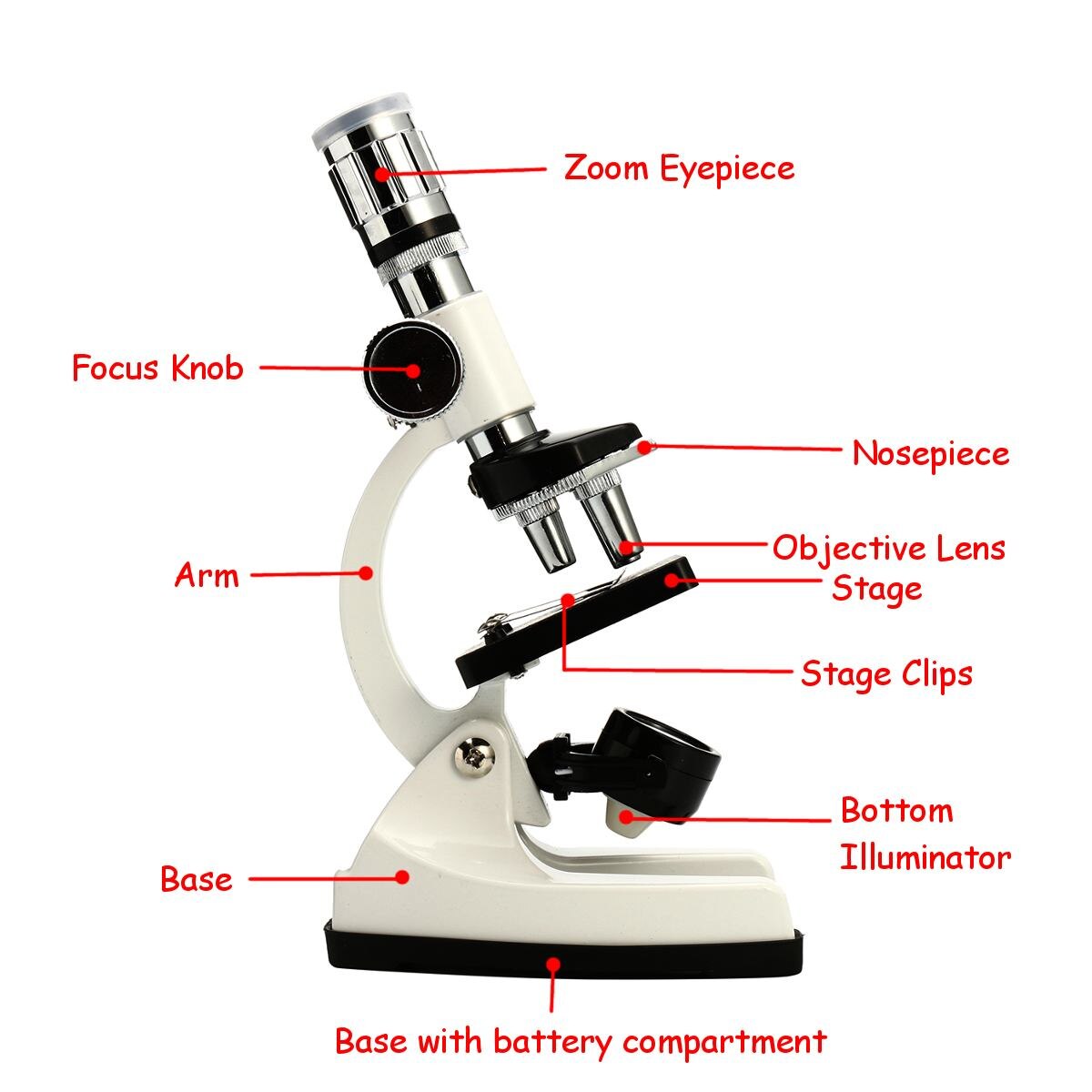 Children Advanced Biological Microscope Discovery ... – Grandado