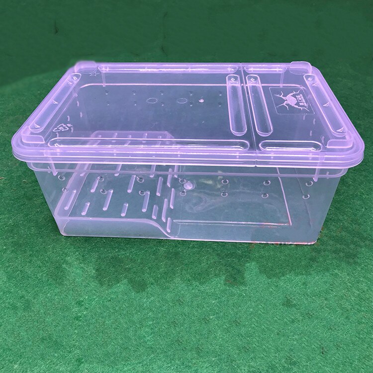 1PCS Horned Frog Breeding Box Live Feed Mud Horn G... – Vicedeal