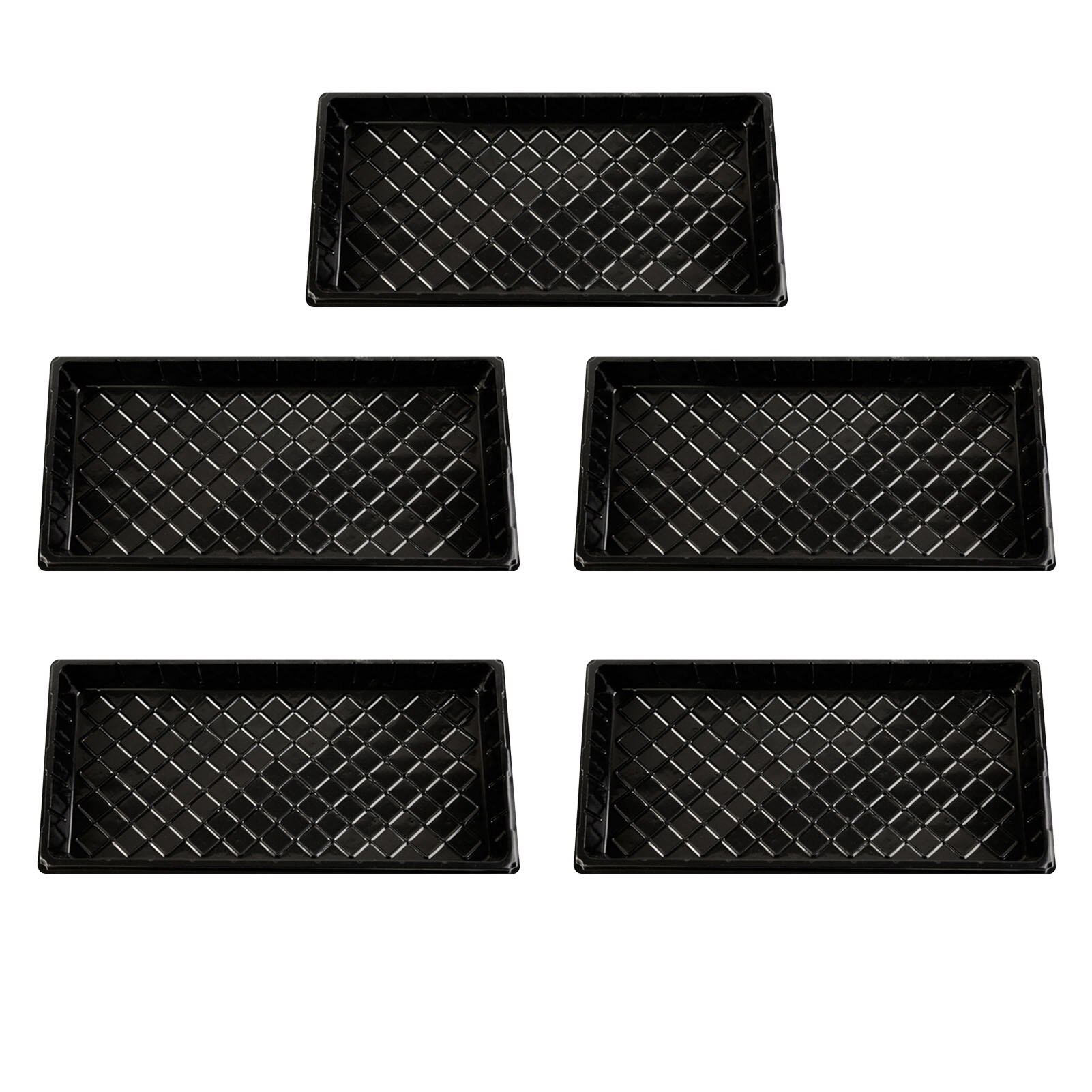 2/5/10 Pcs Seedling Nursery Tray Heavy-duty Durabl... – Grandado