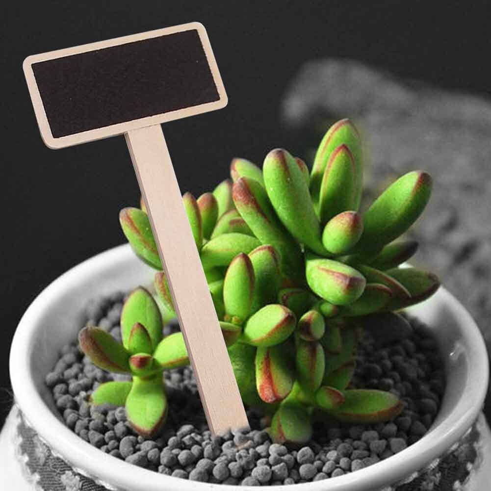 20pcs/set Vegetable Labels Flowers Pot Decor Chalk... – Vicedeal