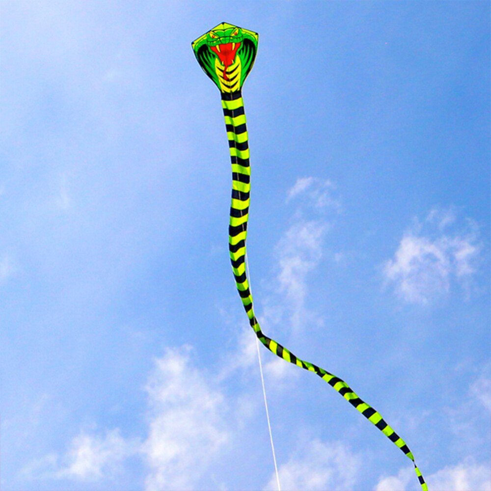 Snake Shape Kite Flying Outdoor Toys Kid Adults Ch... – Grandado