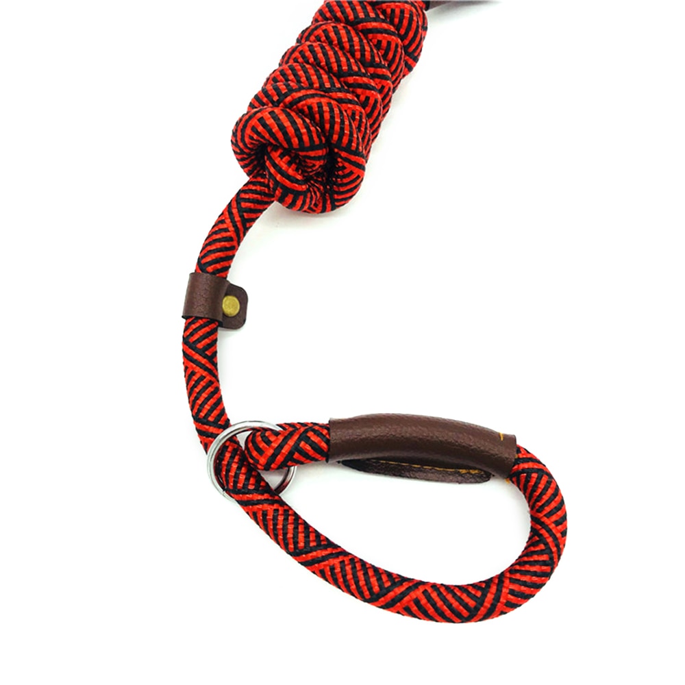 Durable Slip Rope Dog Leash Collar 2 In 1 Adjustab... – Grandado