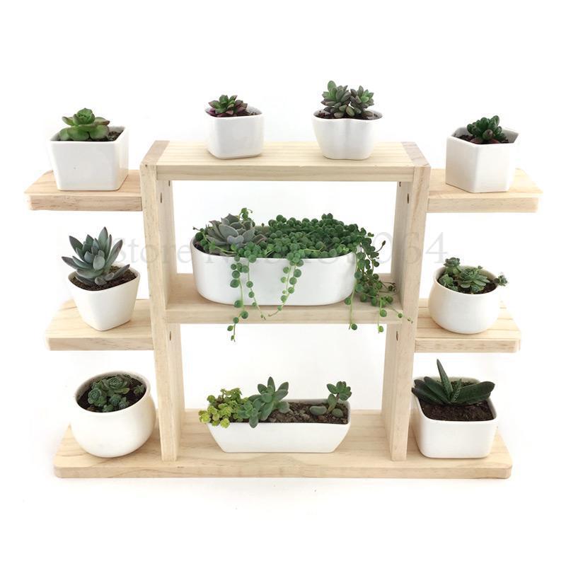 Simple Solid Wood Multi-layer Desktop Fleshy Flowe... – Vicedeal