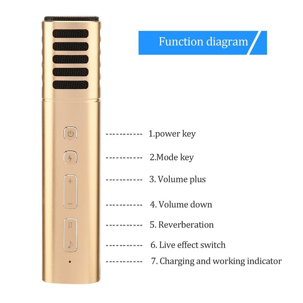 Portable Electret Recording Microphone Live Reverb... – Vicedeal