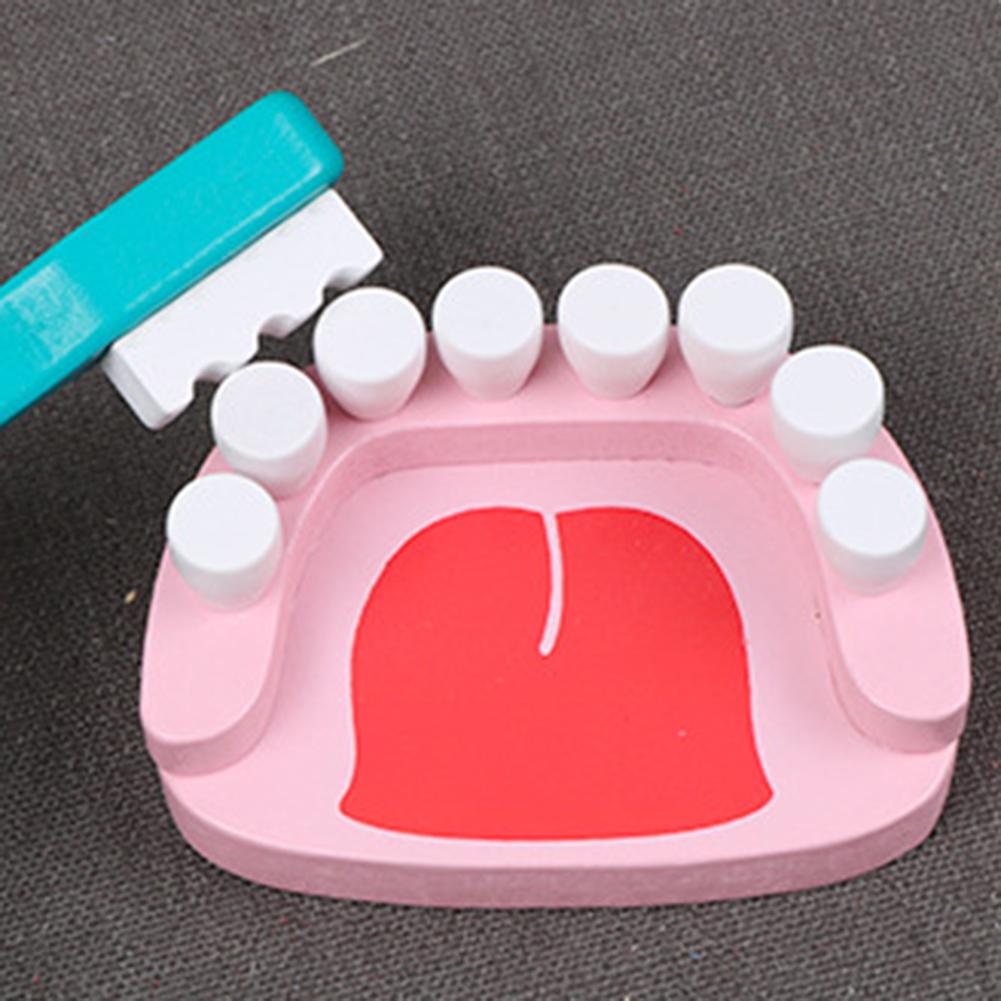 Wooden Role Play Dentist Doctor Dental Teeth Model... – Grandado