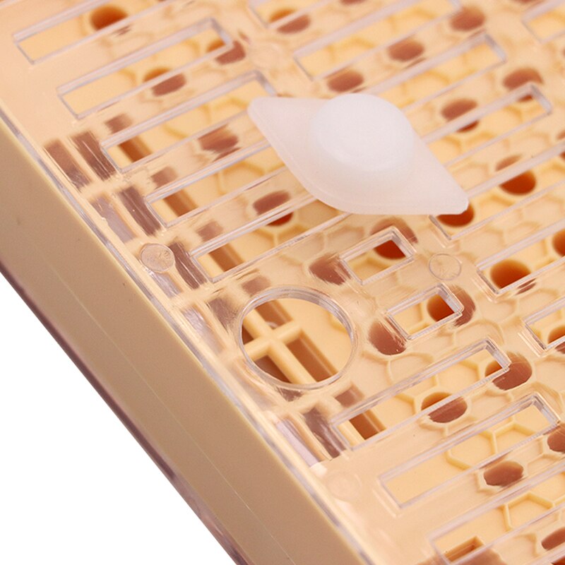 Beekeeping Queen Rearing Cell Cup Kit Equipment Ap... – Vicedeal