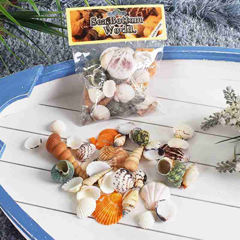 Bag Mix Aquarium Beach Nautical DIY Shells Mixed B... – Vicedeal