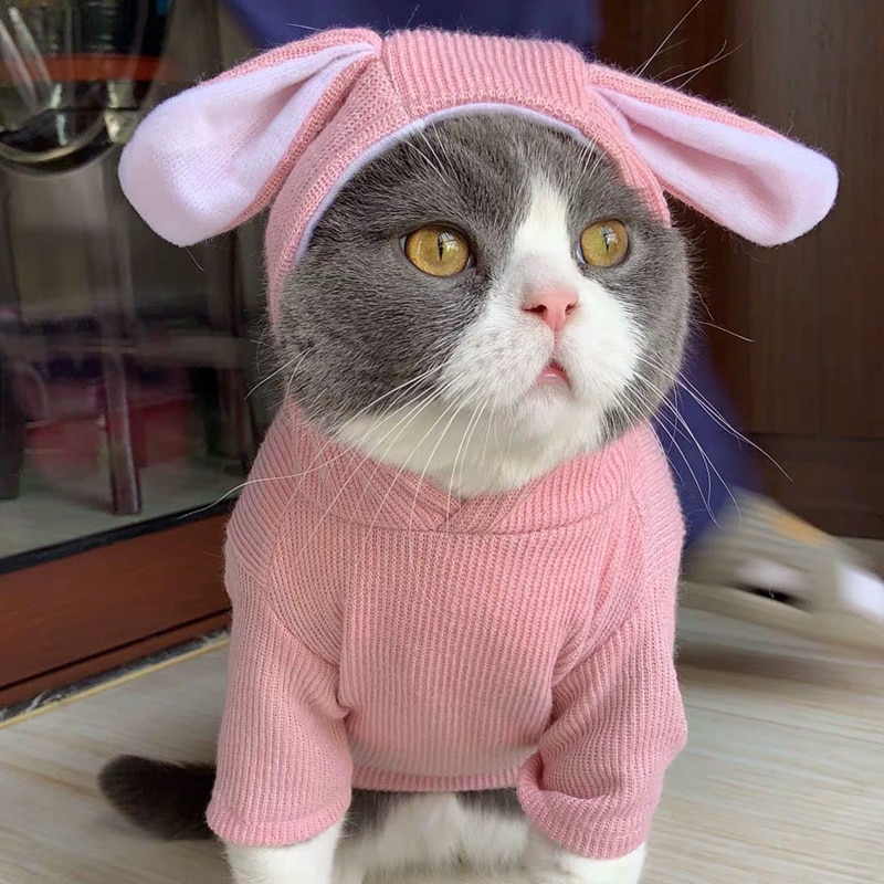 Cute Cat Costumes Winter Warm Cat Clothes For Smal... – Vicedeal