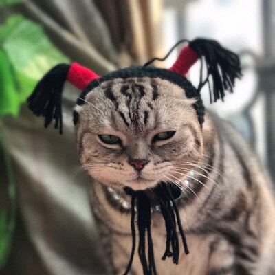 Pet Cat Headgear Funny Cute Photo Headgear For Pet... – Grandado