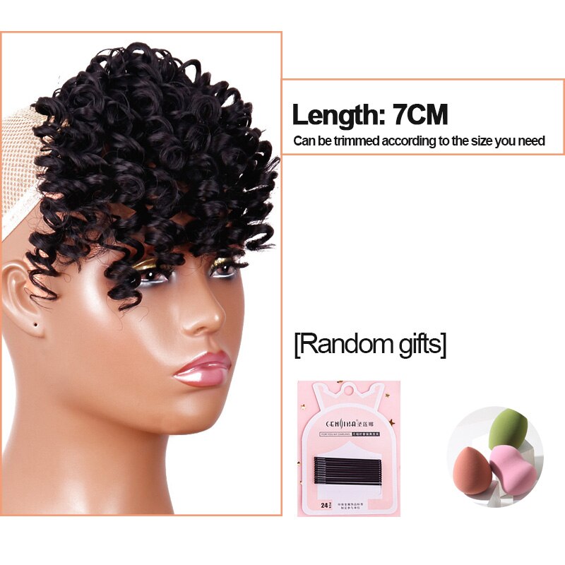 LISI GIRL Edge Wig Ladies Synthetic Artificial Sho... – Vicedeal