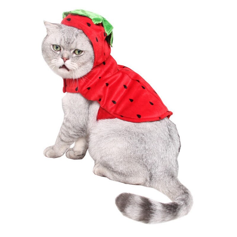 Halloween Kat Kleding Leuke Rode Aardbei Transform... – Grandado