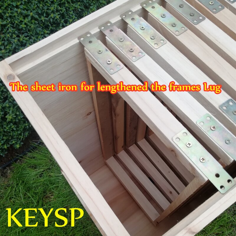 10 Pieces/Pack Beekeeping Tools KEYSP The Sheet Ir... – Grandado