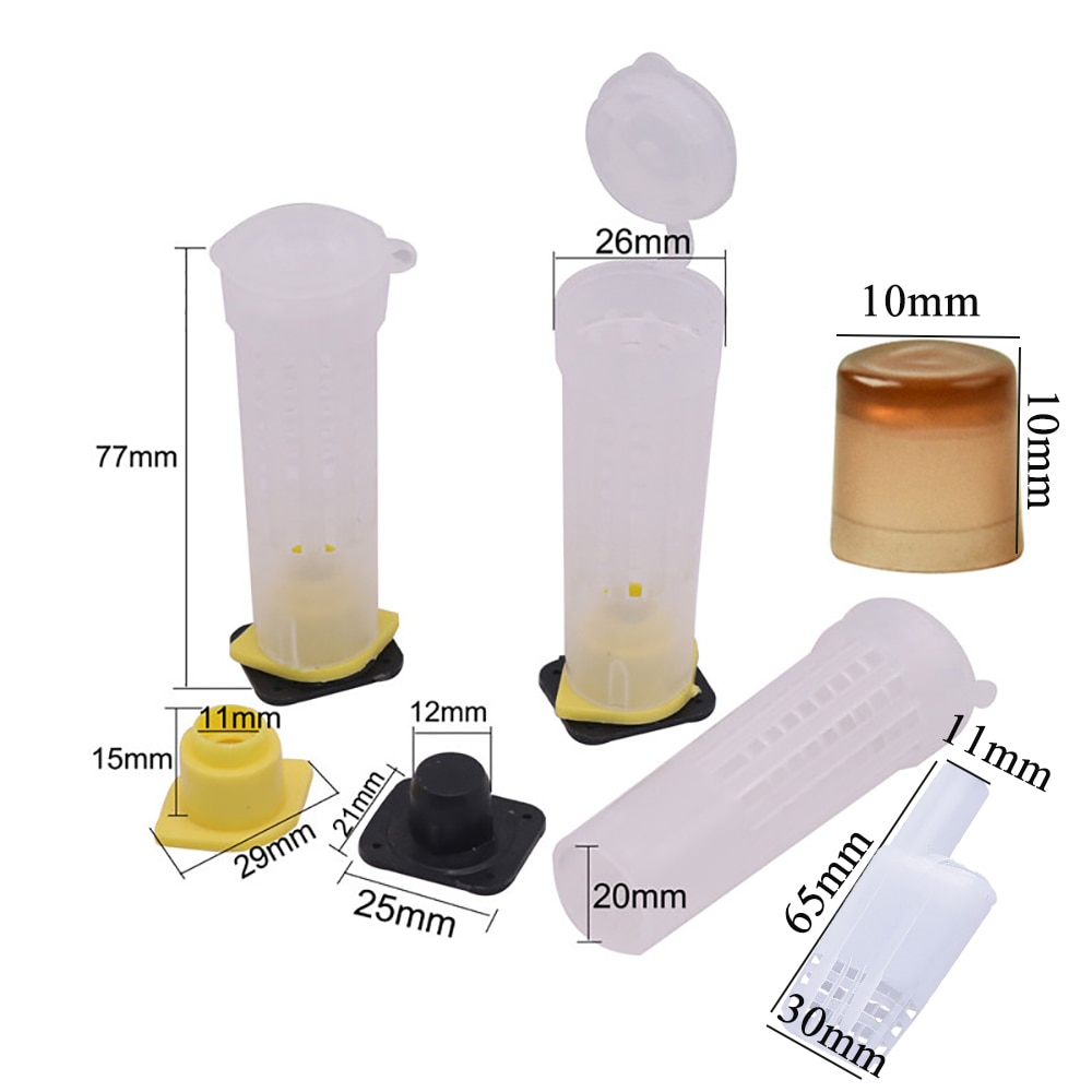 1set Apicultura Kit Complete Bee Queen Rearing Set... – Grandado