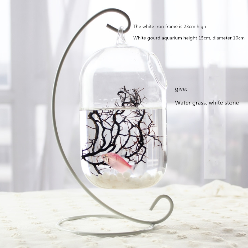 Hanging Mini Fish Tank Black Rack Glass Goldfish T... – Grandado