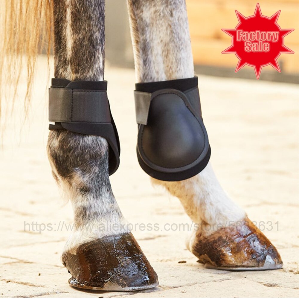 3 21005 Horse Fetlock Boots Full Cob Pony Size Leg... – Grandado
