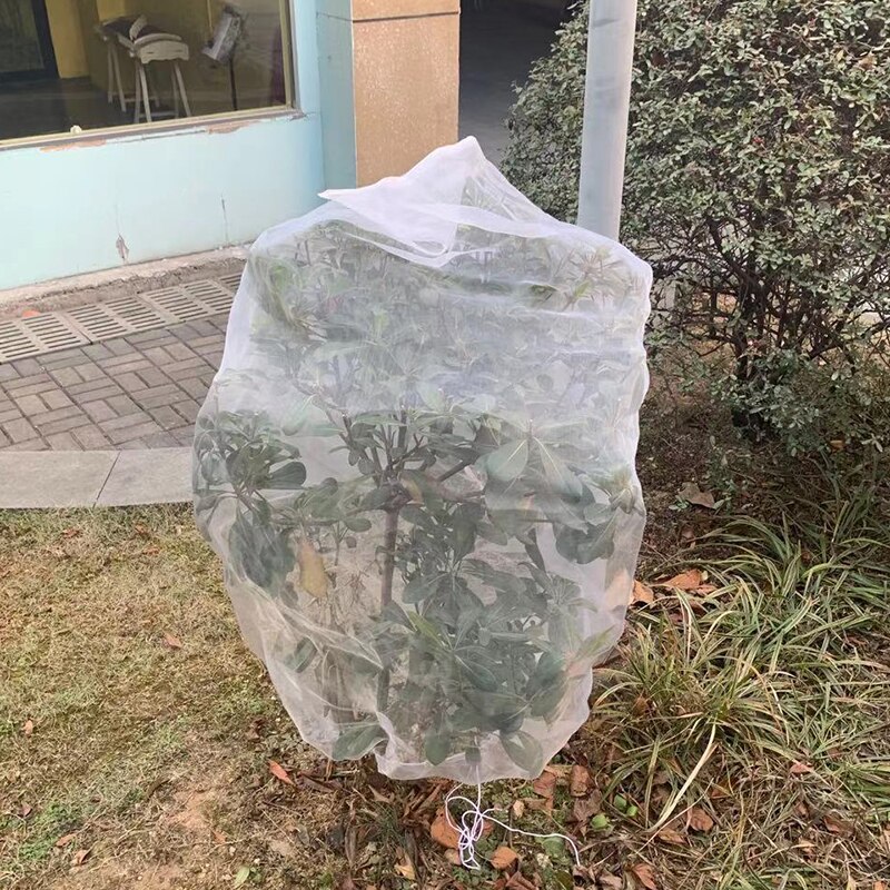 Plant Insect Proof Cover Birds Proof Net for Garde... – Grandado