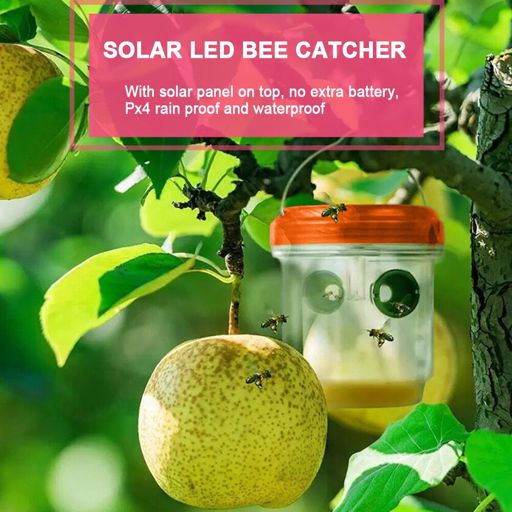 Outdoor Garden Solar Power Hanging Bee Catcher Reu... – Grandado
