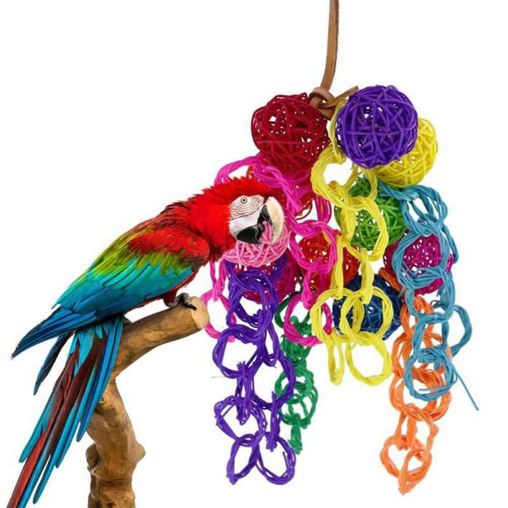 Bird Toys Parrot Colorful Rattan Balls Bird Intera... – Vicedeal
