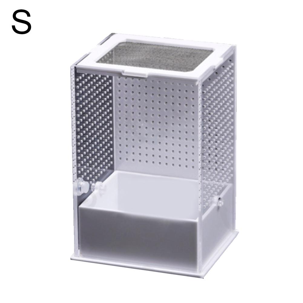 Transparent Acrylic Reptile Feeding Box Insect Box... – Grandado