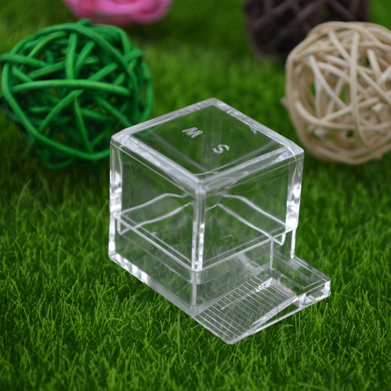 Water Storage For Ants & Insects Water Feeding Wat... – Grandado