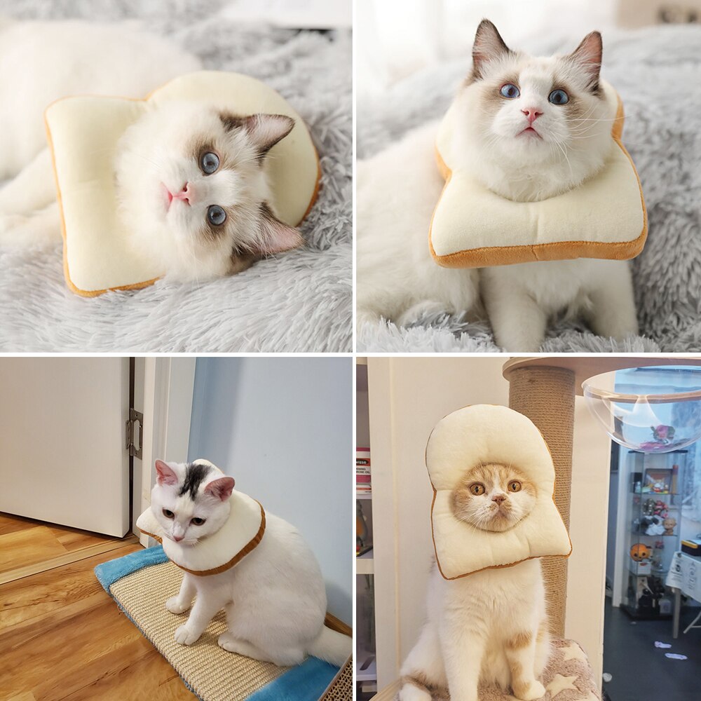 Adjustable Bread Shape Pet Protective Collar Dog N... – Grandado