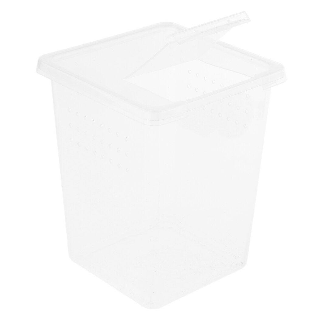 Plastic Insect Spider Habitat Feeding Box Case Con... – Vicedeal