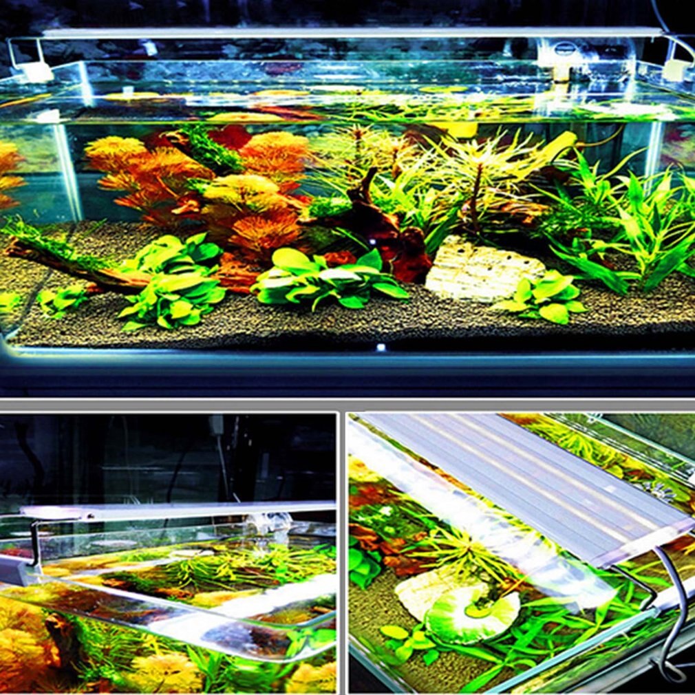 Aquarium Fish Tank 20/30/50K LED Light Blue/White ... – Grandado