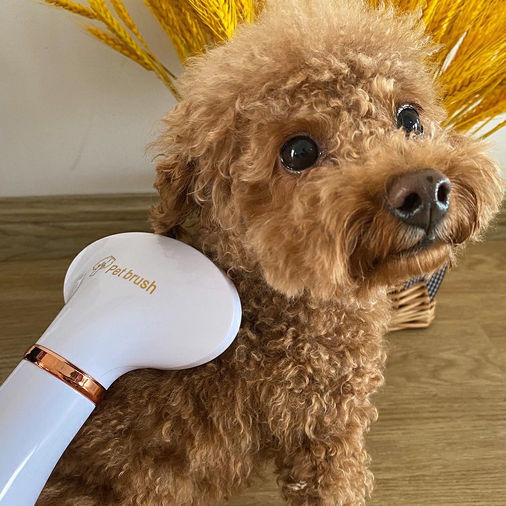 2-In-1 Portable Dog Hair Dryer And Comb Brush Elec... – Vicedeal