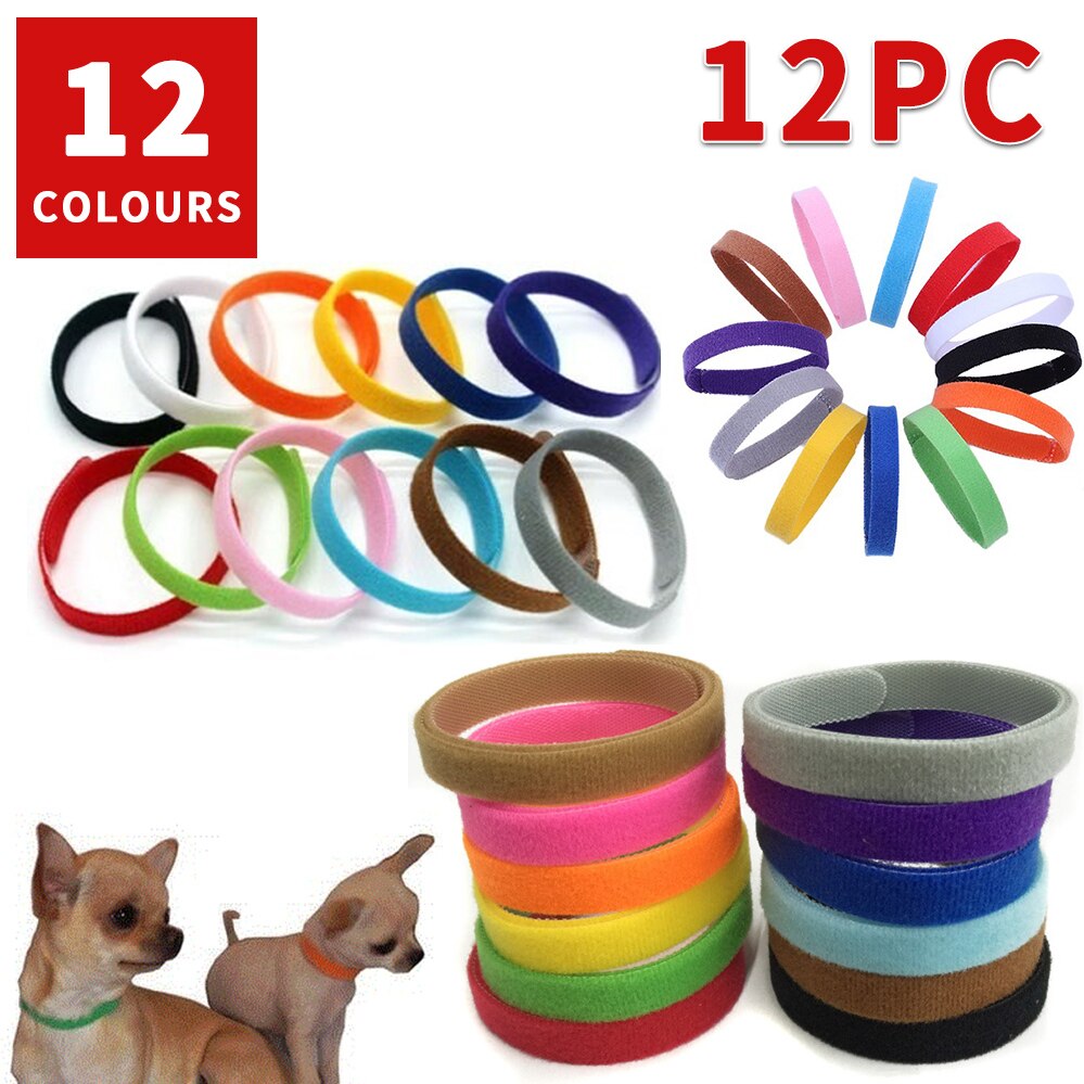 12 Pcs/Set Puppy Newborn Pets Identify Collars Adj... – Grandado