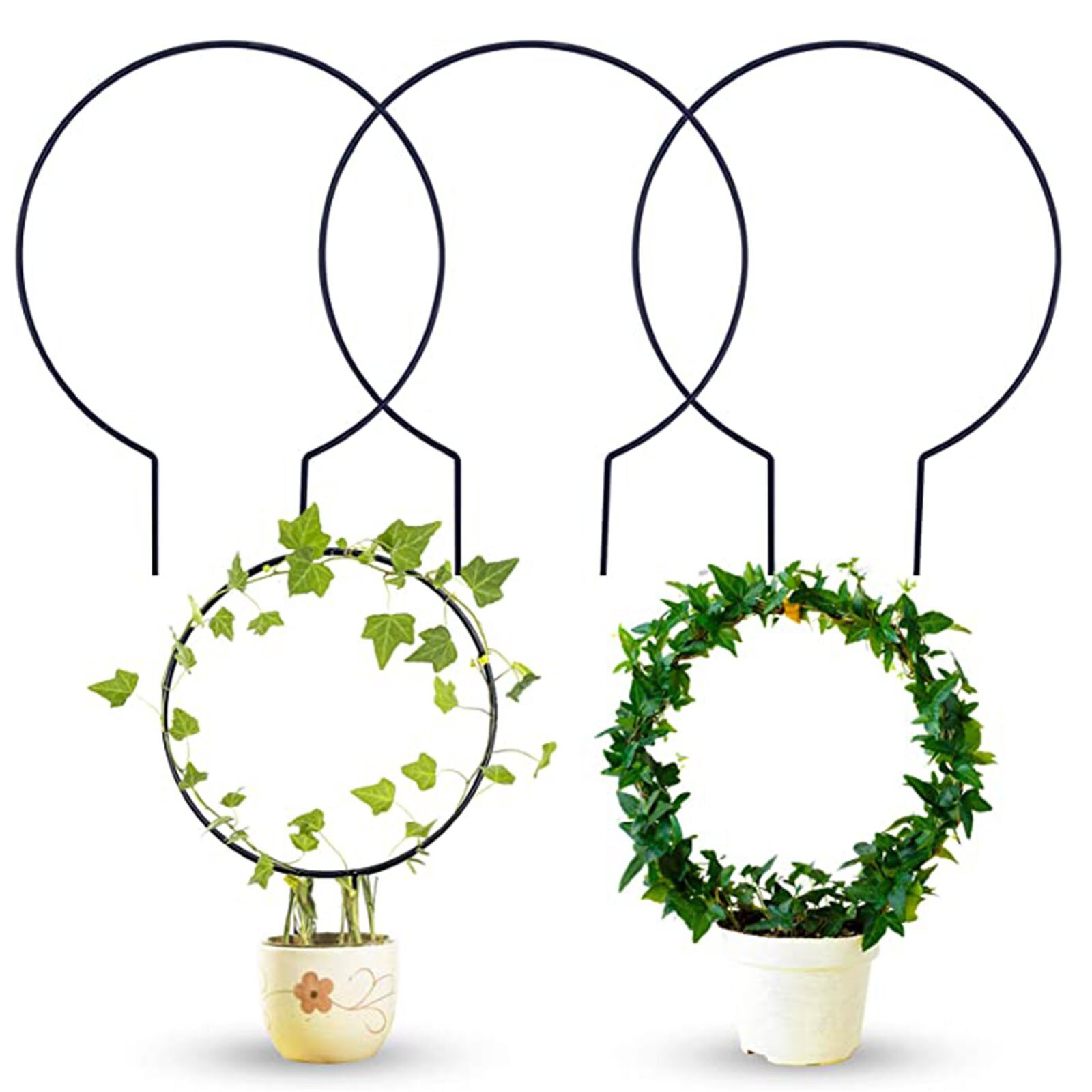 T# Metal Plant Frame Round Garden Frame For Climbi... – Vicedeal