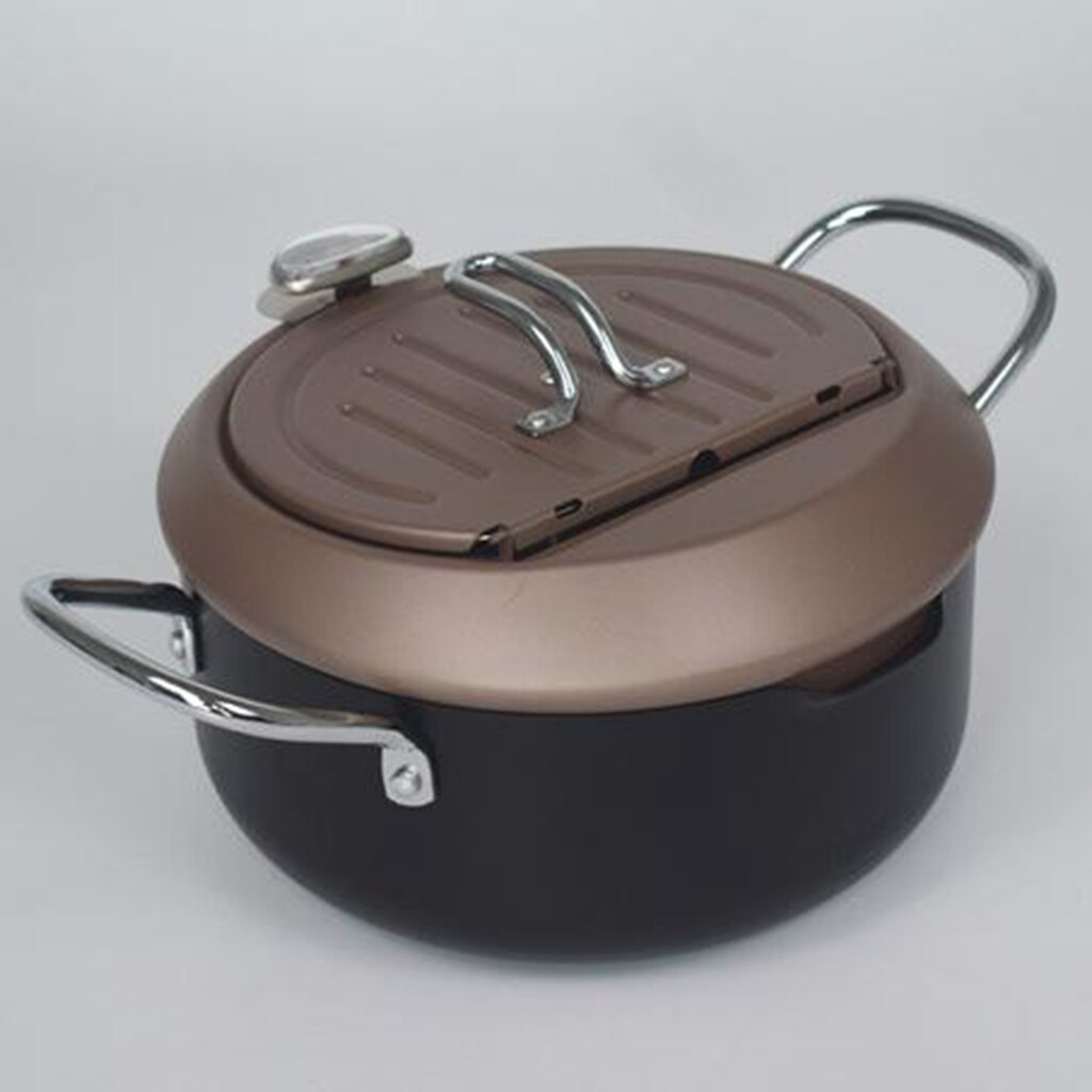 Iron Fryer Pot Mini Deep Fry Pan with Drainer Ther... – Vicedeal
