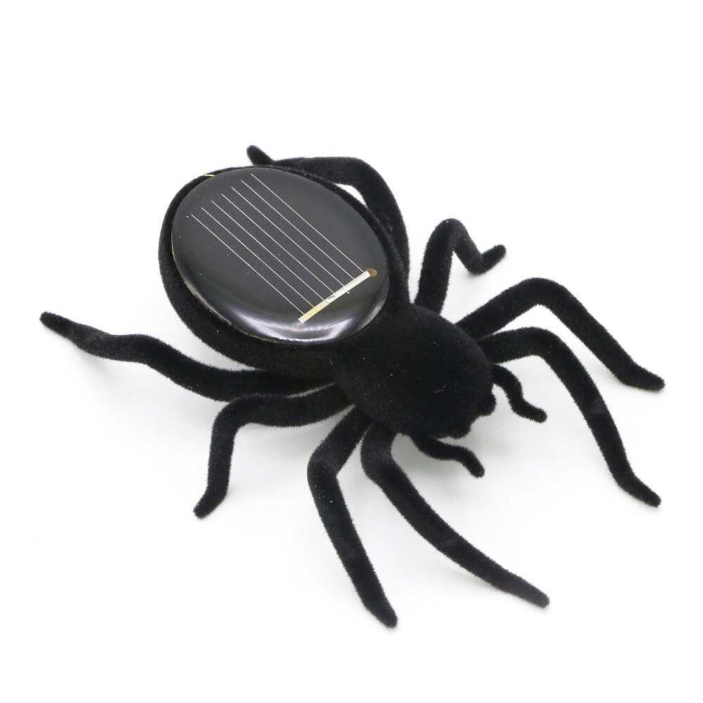 10pcs/lot Educational Solar Powered Spider Cockroa... – Grandado