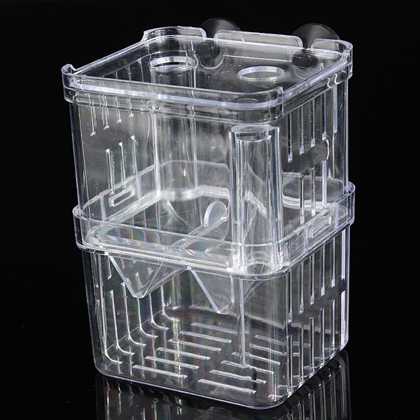 Double-Deck Clear Fish Breeding Isolation Box Aqua... – Vicedeal